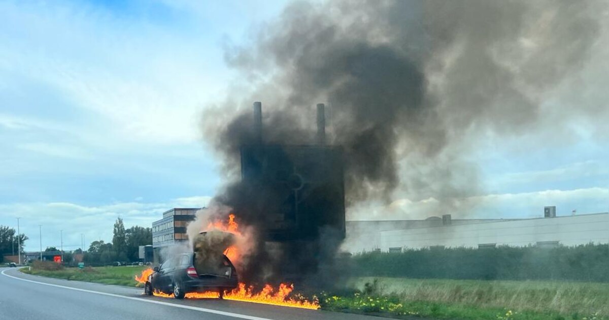 Spectaculair beeld: wagen brandt volledig uit op pechstrook van ...
