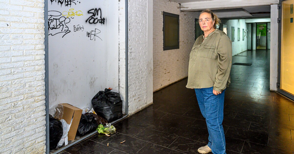 Renovatieproject winkelgaanderij Ter Linde lijkt alweer stil te liggen ...