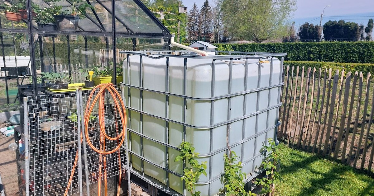 Heb jij geen regenput? Dan is de groepsaankoop regentonnen interessant ...