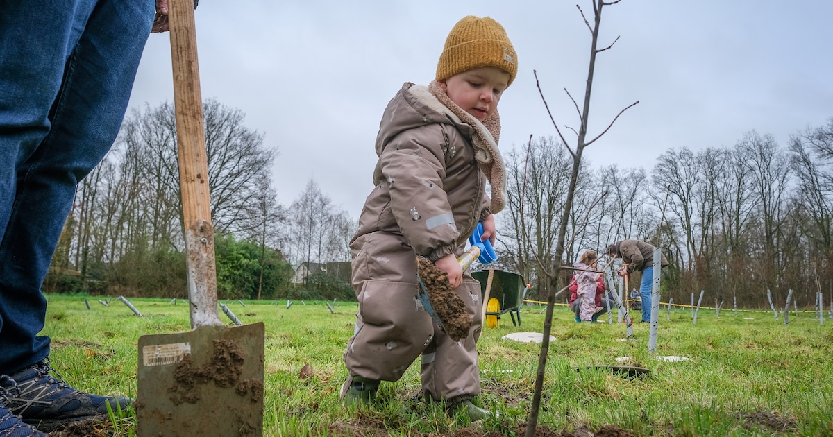 Zemst viert nieuw leven met 245 geboortebomen | Regio | HLN.be