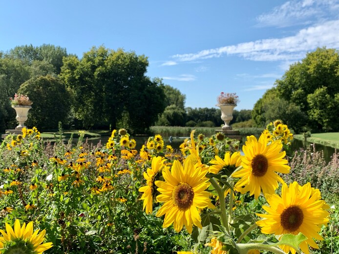 HUIZENJACHT. Boutersem, op de grens van Haspengouw en het Hageland ...