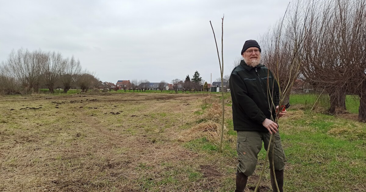 Gewezen boswachter Hubert (65) plant eigen bos: “Openbaar maken zodat ...