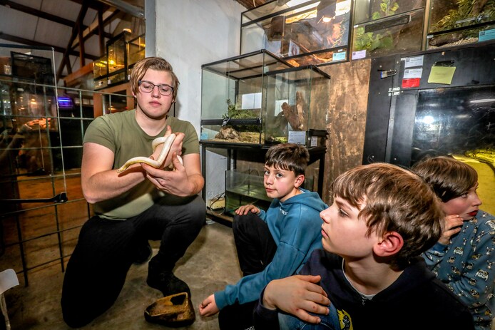 Jongeren kruipen even in de huid van een reptielenverzorger: “We leren ...