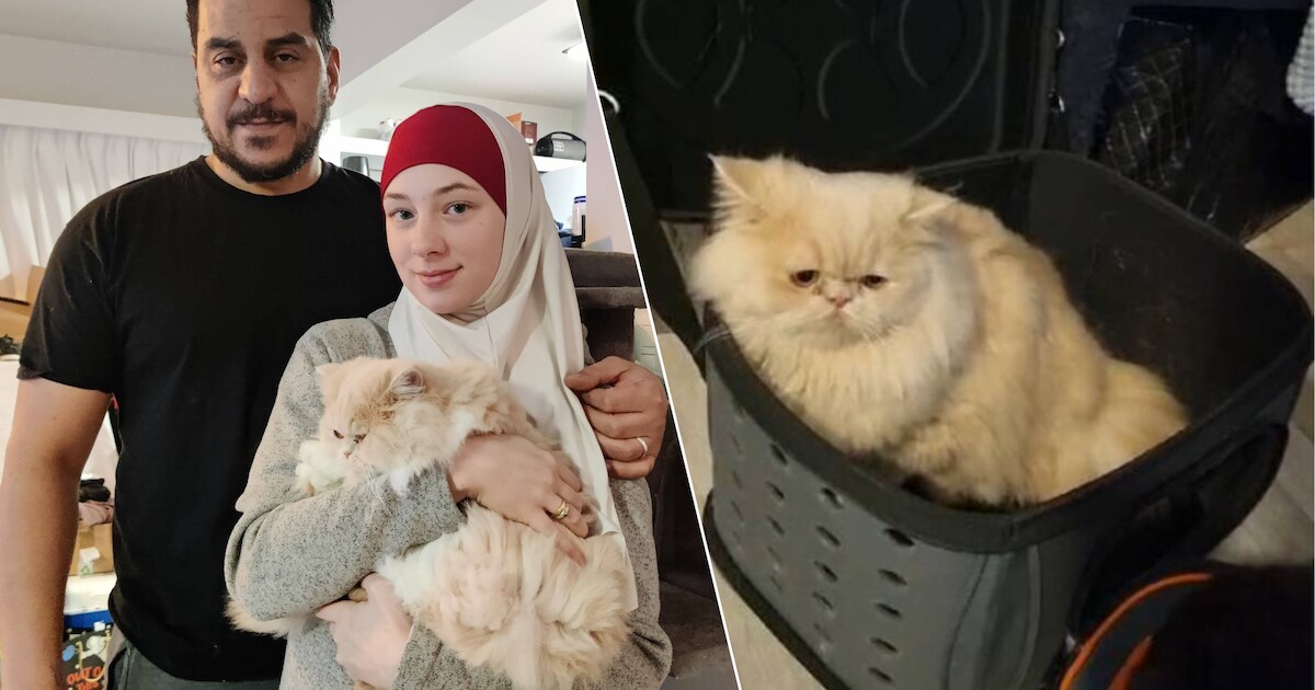 Katje zit al 30 uur vast, maar zelfs gespecialiseerde dienst van brandweer vindt ze niet ...