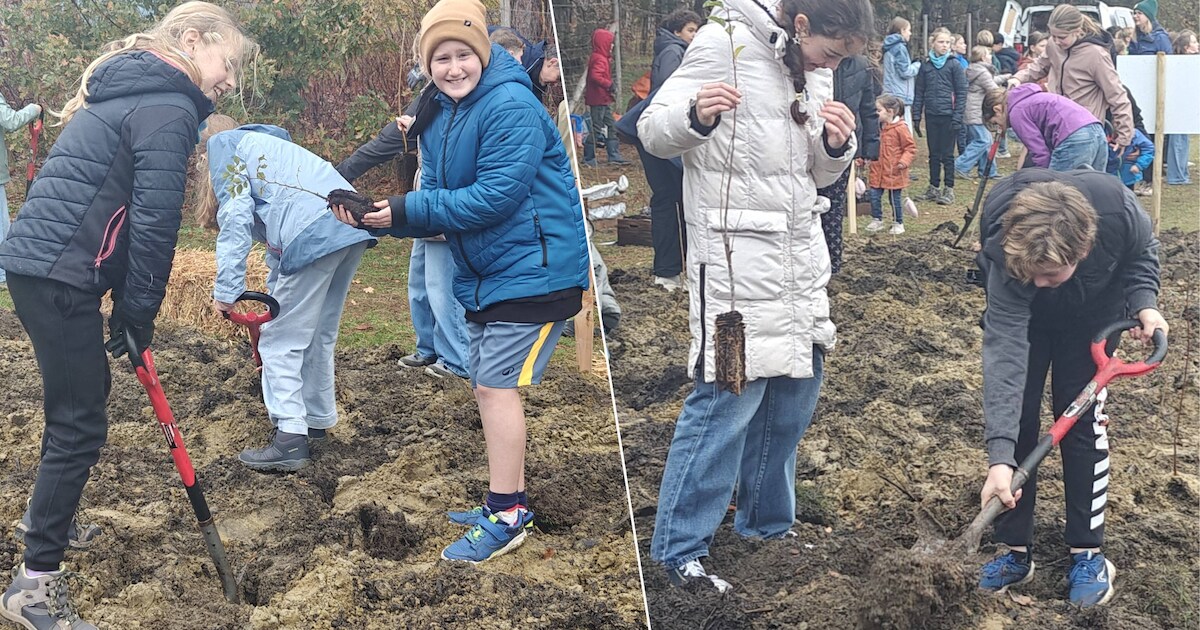 Leerlingen Toermalijn planten eerste bomen van nieuw schoolbos ...