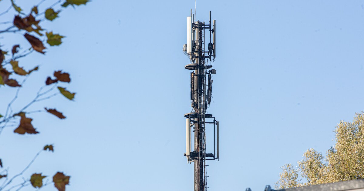 Proximus werkt aan mobiele masten in Bertem: mogelijk lichte hinder ...