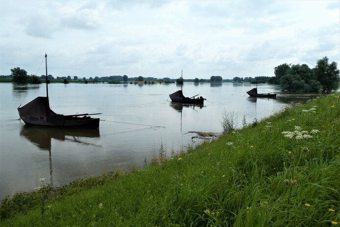 Moeder Maas wordt flink bedreigd door vervuiling en exoten, maar de ...