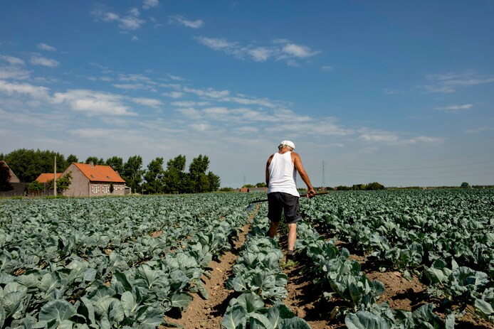 Nationale bank waarschuwt voor risico op stijgende voedselinflatie door ...