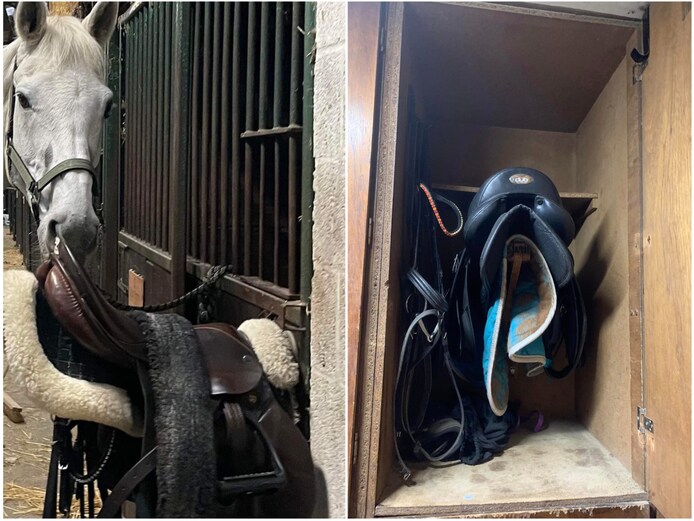 Voor 10.000 euro zadels gestolen uit manege Gaverranch: “De dieven ...