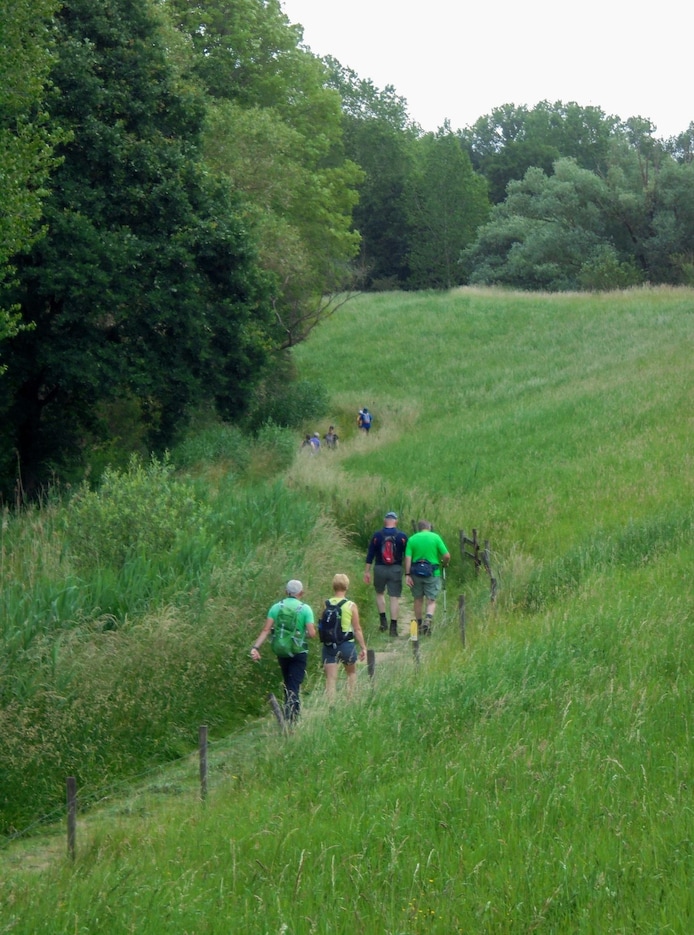 Wat te doen in Mechelen en omstreken dit weekend: van kinderprocessie ...