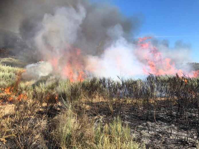 Brandweerman Thijs (36) helpt bosbranden blussen in Portugal: “Onze ...
