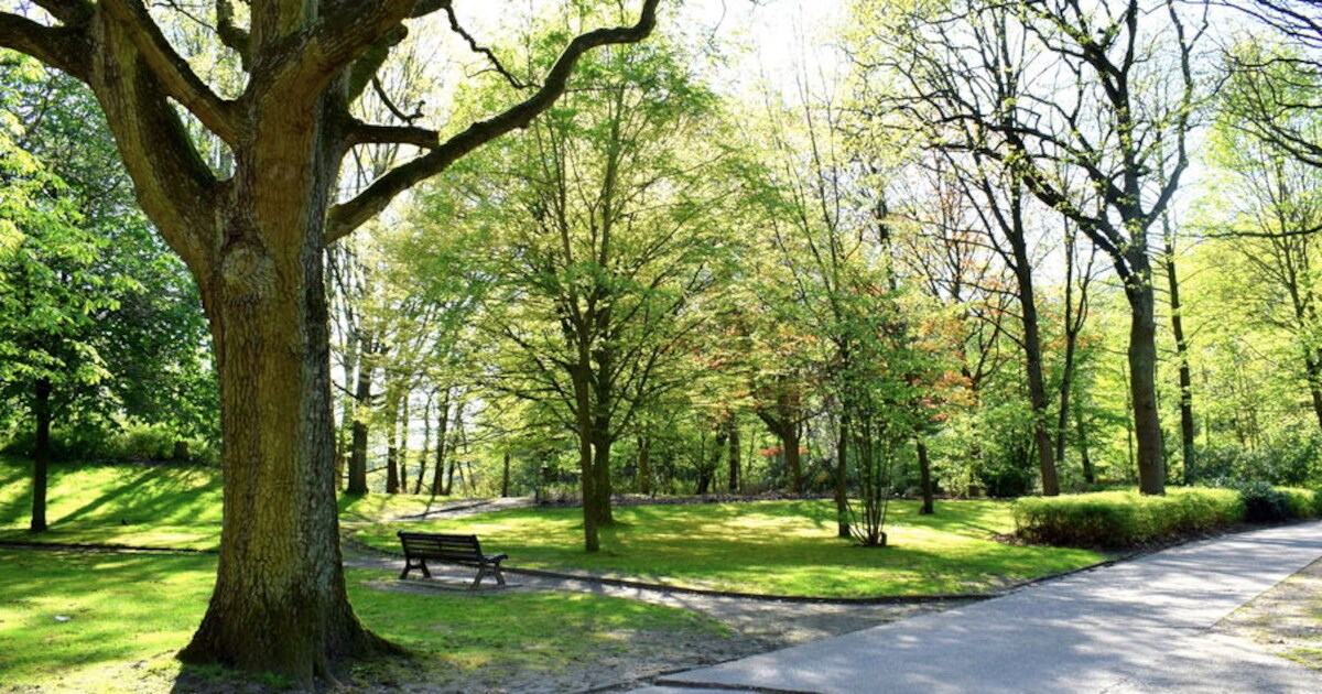 District plant terrein voor ‘urban sports’ in Fort van Merksem ...
