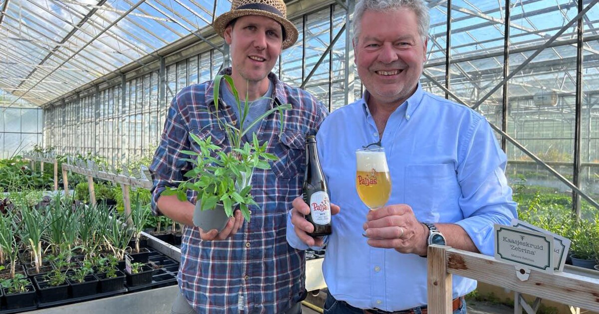 Brouwerij De Leite lanceert Paljas Wit: “Een verfrissend zomerbier ...