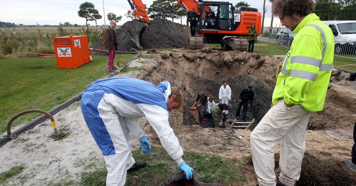 Potvis Valentijn wordt na 29 jaar opgegraven (en krijgt plaatsje in ...