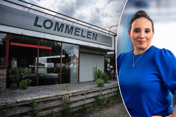 Na 1.500 gedupeerden is website van Elektro Lommelen eindelijk offline, “maar dat baart zorgen ...