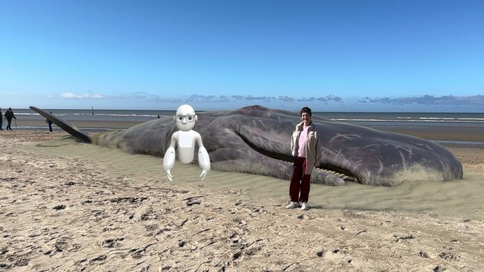 Potvis Valentijn van Sint-André is al 36 jaar dood: “En toch kan je er ...