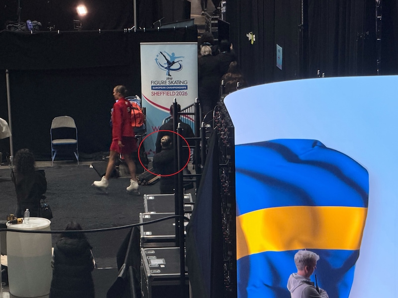 “Dit is echt... kut”: Loena Hendrickx gaat tegen de grond in korte kür ...