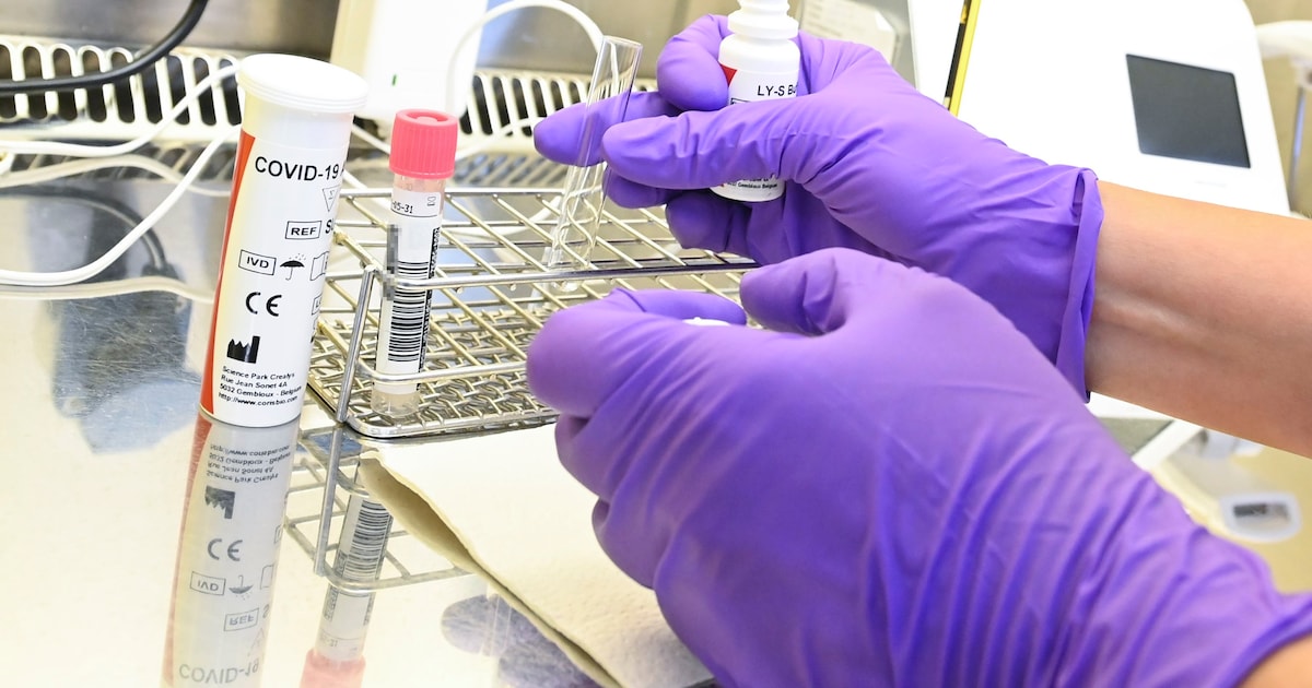 LIVE. Van Gucht: “We evolueren naar staart van vijfde golf”- Nieuwe ...