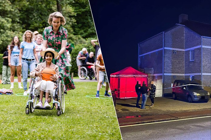 3,6 miljoen keer bedankt! Deze Peltse verhalen lazen jullie het liefst in 2023 | Pelt | hln.be