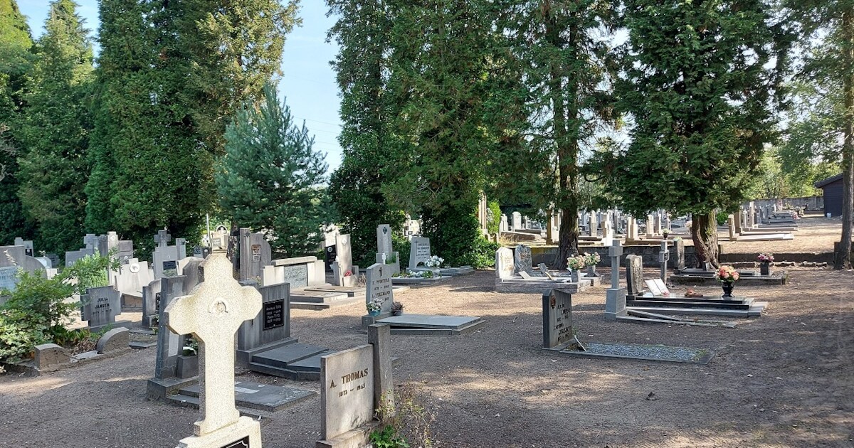 Werken begraafplaats Wezel stilgelegd voor Allerheiligen | Mol | HLN.be