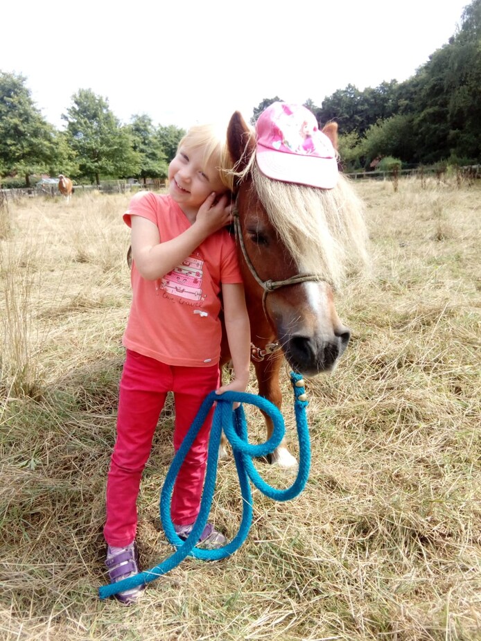 “We dachten dat dit de veiligste weide was”: wolf bijt pony Bietel (25 ...