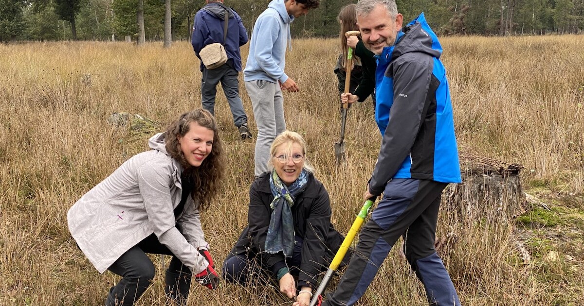 Natuurpunt herstelt Turnhouts Vennengebied tot moeras: “Minder ...