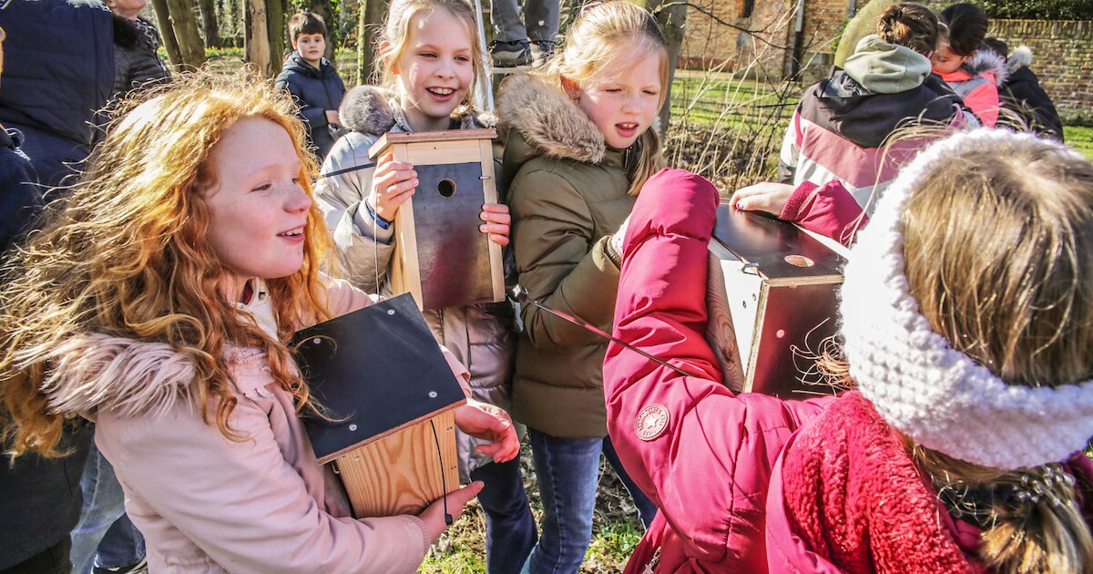 Vierdeklassers controleren nestkastjes op het kasteeldomein: “Door het ...