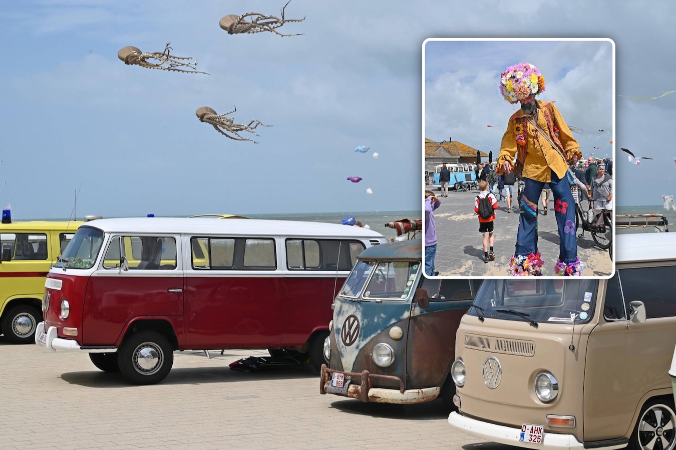 Nostalgie aan zee: 250 Volkswagenbusjes kleuren zeedijk van Westende ...