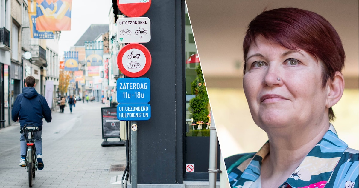 “Mijn dochter viel door plots overstekende shoppers”: Vista vraagt ...