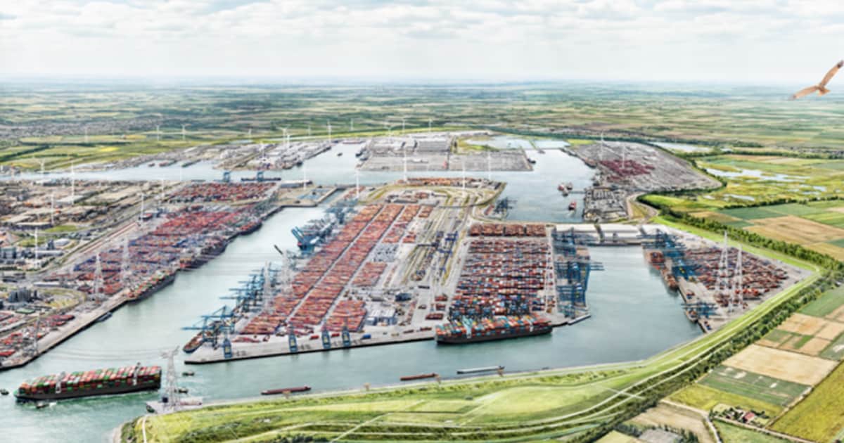 Openbaar onderzoek voor Containercluster Linkerscheldeoever start op 12 ...