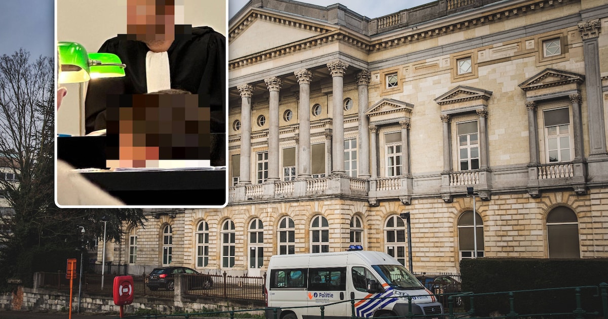 Bijna werd ze stafhouder, vandaag staat advocate Véronique V. terecht ...
