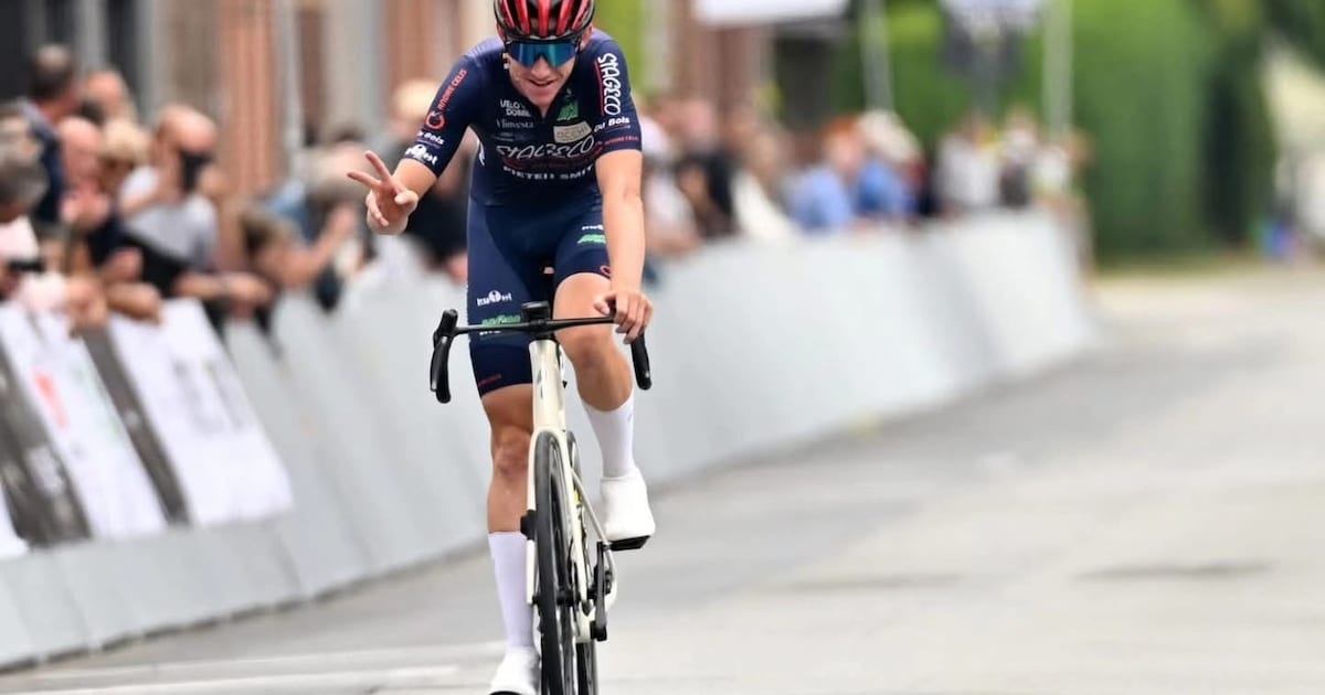 Jarno Bellens van Stageco naar Baloise Glowi Lions: “Dit is meer dan ...