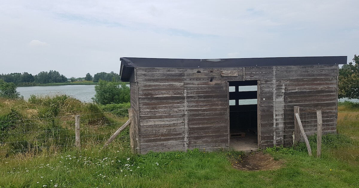Vandalen stichten brand in uitkijkpost in natuurgebied De Hoge Dijken ...