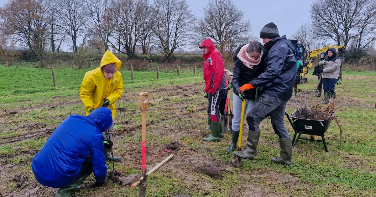 Leerlingen buitengewoon onderwijs en zorgvoorzieningen planten samen ...
