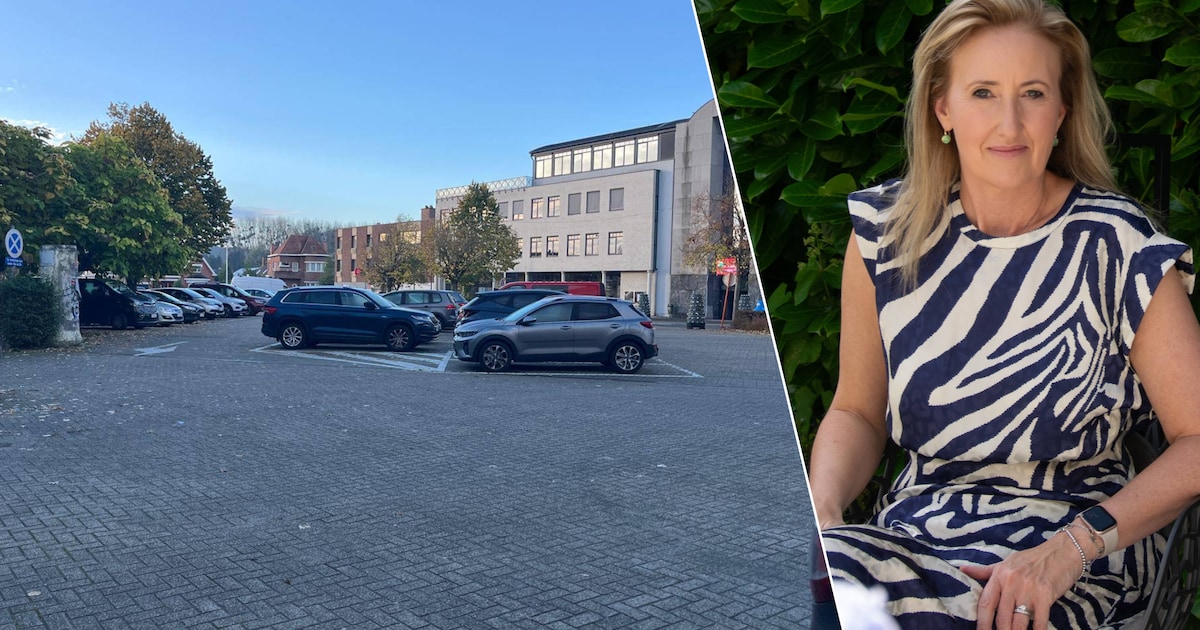 De ene is fan, de andere vreest te hoge kostprijs: idee om komst ...