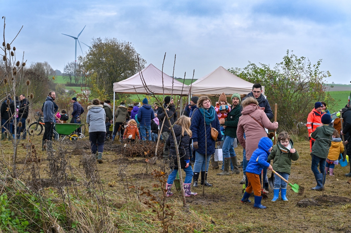 Kinderen van 2020 planten geboorteboom | Foto | hln.be