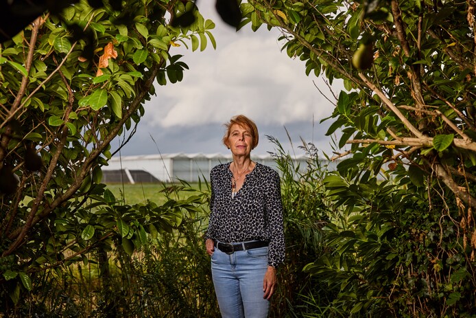 Experiment met Nederlandse ‘staatswiet’ dreigt te mislukken door klagende buren: “Ik krijg er ...