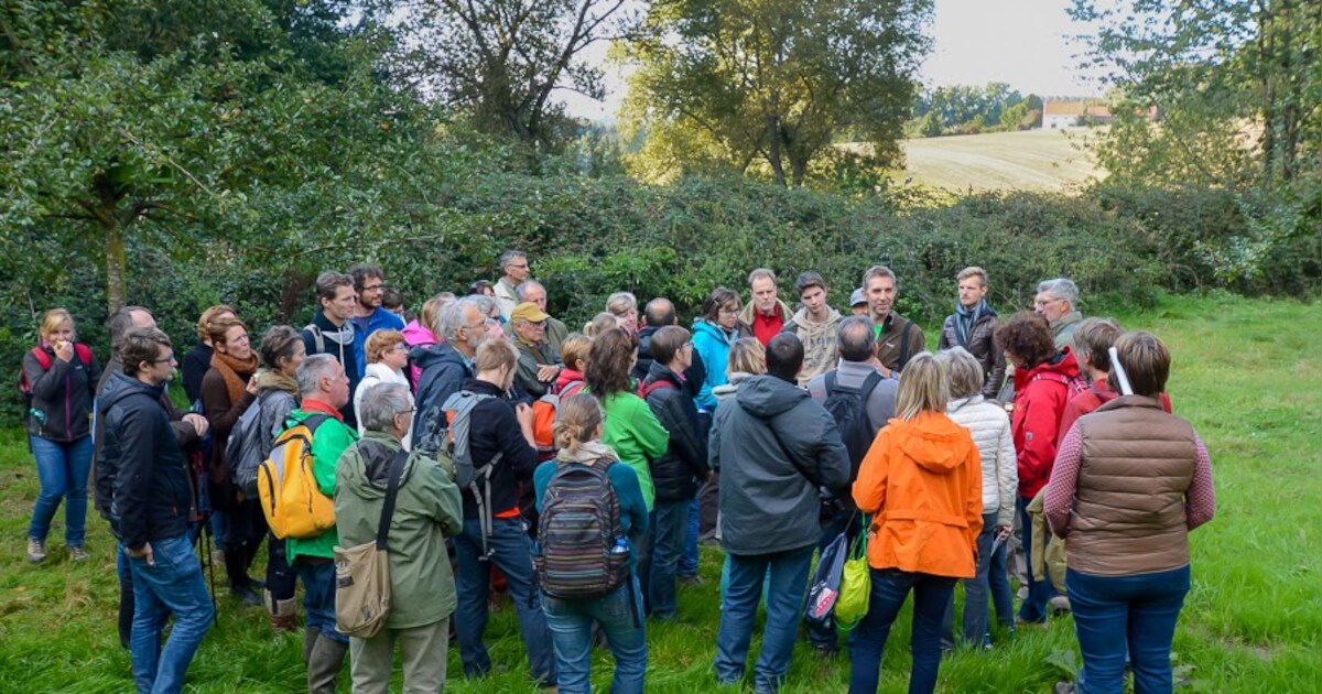 Natuurpunt kent sterke groei in Vlaanderen en in het bijzonder in ...