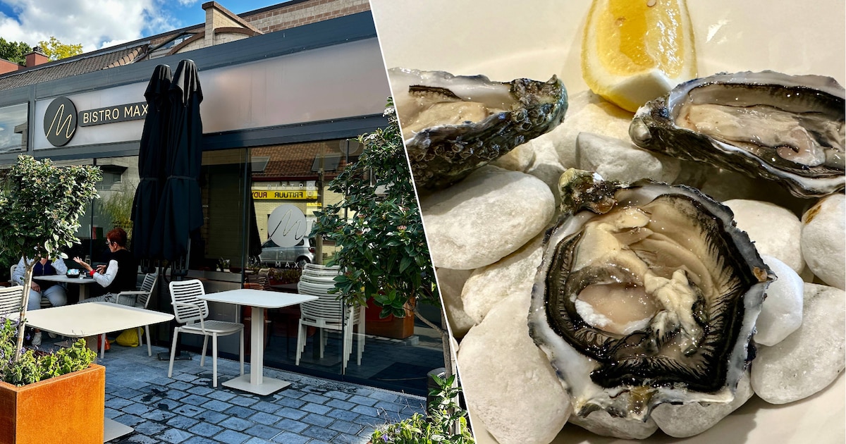 RESTOTIP. Bistro Max in Gent, de meer dan waardige opvolger van ...