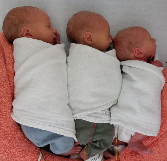 Wichelen is drieling rijker: familie Michiels verwelkomt Cyriel, Jules ...