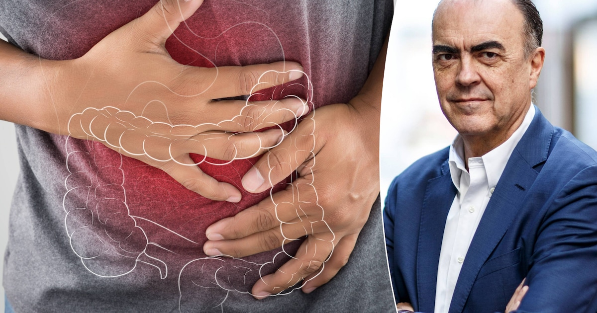 “Darmkanker slaat steeds jonger toe”: elke dag sterven 8 Belgen aan ...