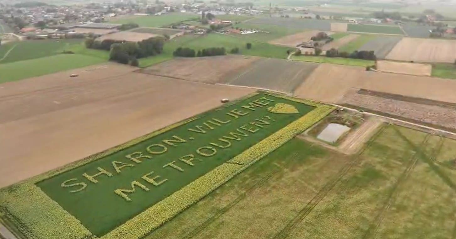 Stijn (39) vraagt Sharon (32) ten huwelijk met zonnebloemen-brief op ...
