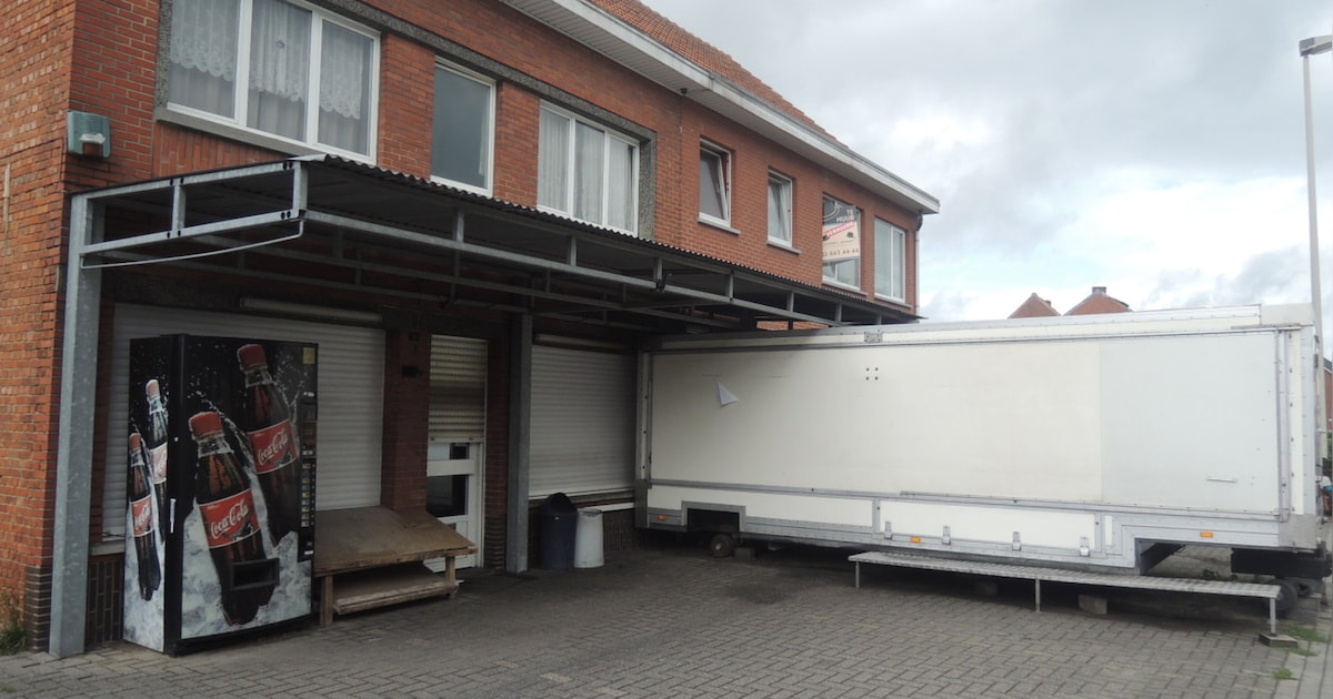 Jos Kip riskeert twee jaar cel voor 'groene kiekens' | Brecht | HLN.be