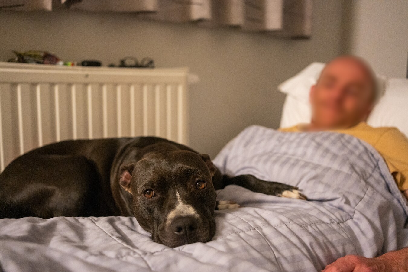 REPORTAGE. Wouter Torfs (65) diep geraakt door verhaal van dakloze ...