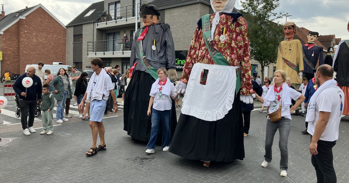 Wat te doen in het Waasland en Dendermonde dit weekend? Van reuzenstoet ...