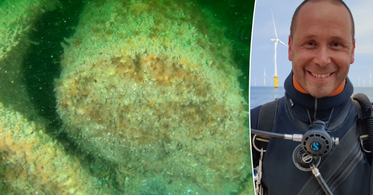 “Hoe explosief is een bord Oostendse vis?”: parlementslid vraagt extra ...