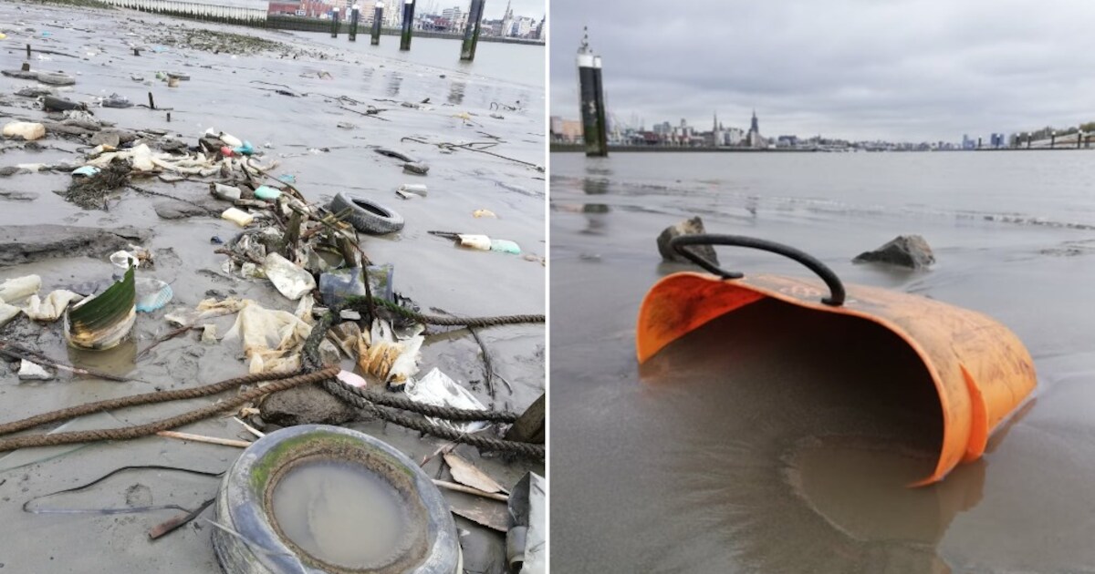 River Cleanup roept op om dit weekend de Scheldebocht proper te maken ...