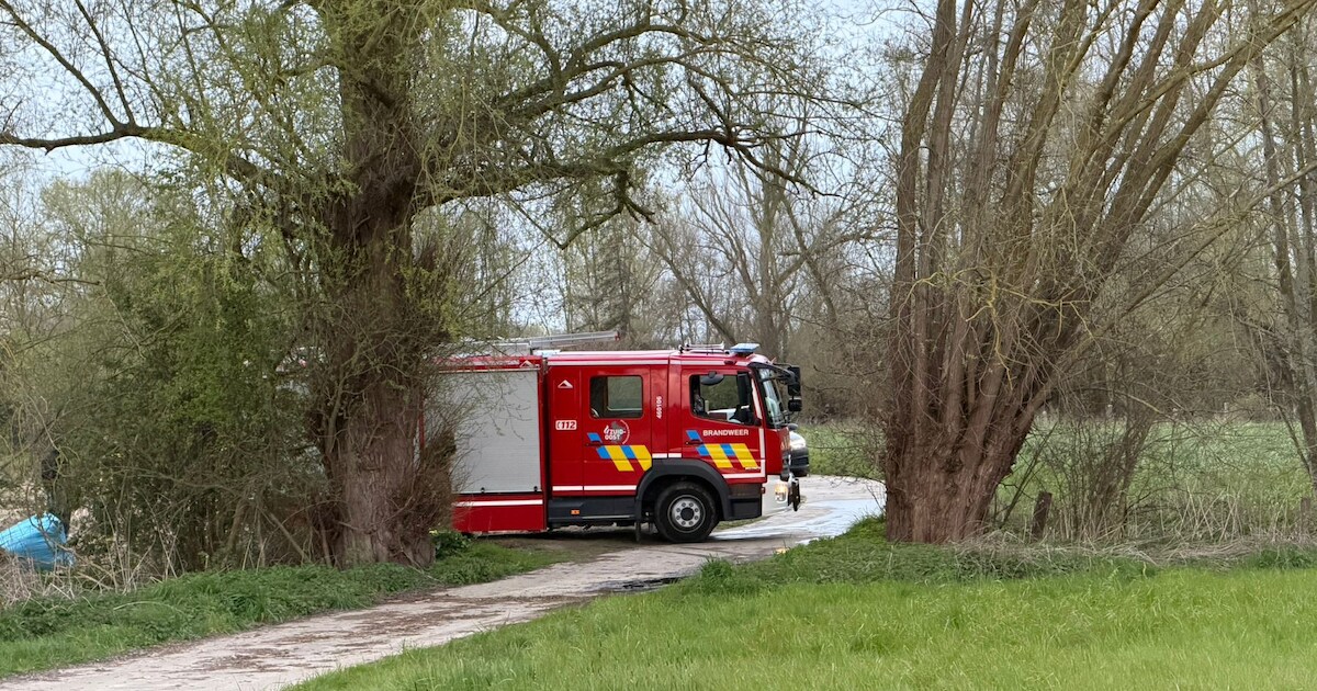 Vermiste vrouw dood teruggevonden in het water in Lede | Regio | HLN.be