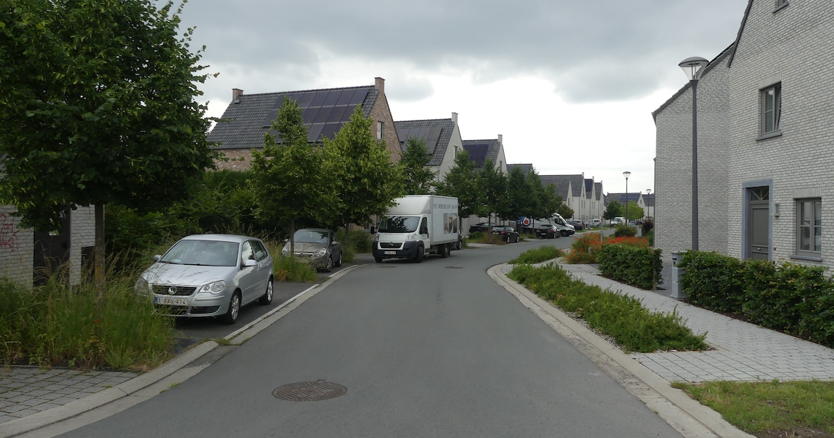 Bewoner komt thuis en staat plots oog in oog met inbrekers: politie ...