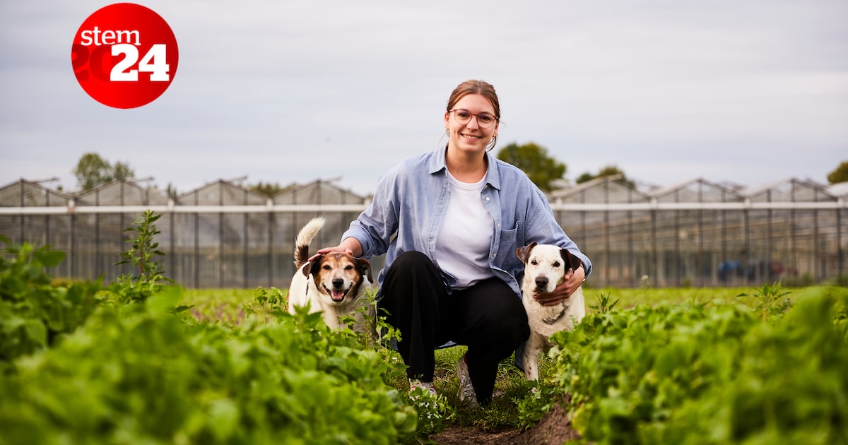 Dit zijn de kandidaten voor cd&v, en hun plannen voor Sint-Katelijne-Waver | Gemeentepolitiek ...